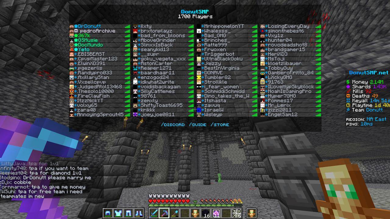 Minecraft Servers in Netherlands | Best Dutch Servers List