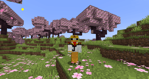 Minecraft Servers in New Zealand | Top English and Maori Specific New ...