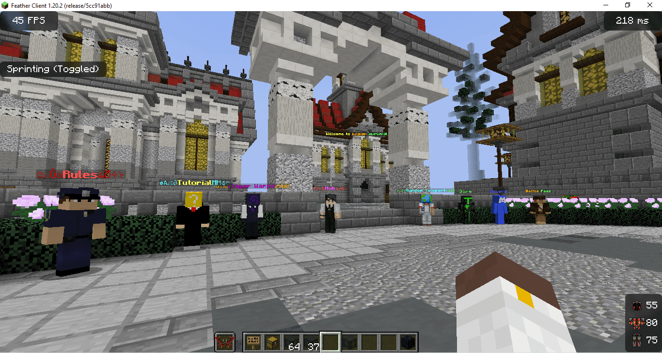 Minecraft Servers in United Kingdom | Top English Specific British ...