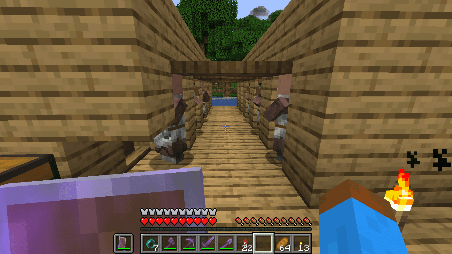 Void SMP - Minecraft Survival Server IP