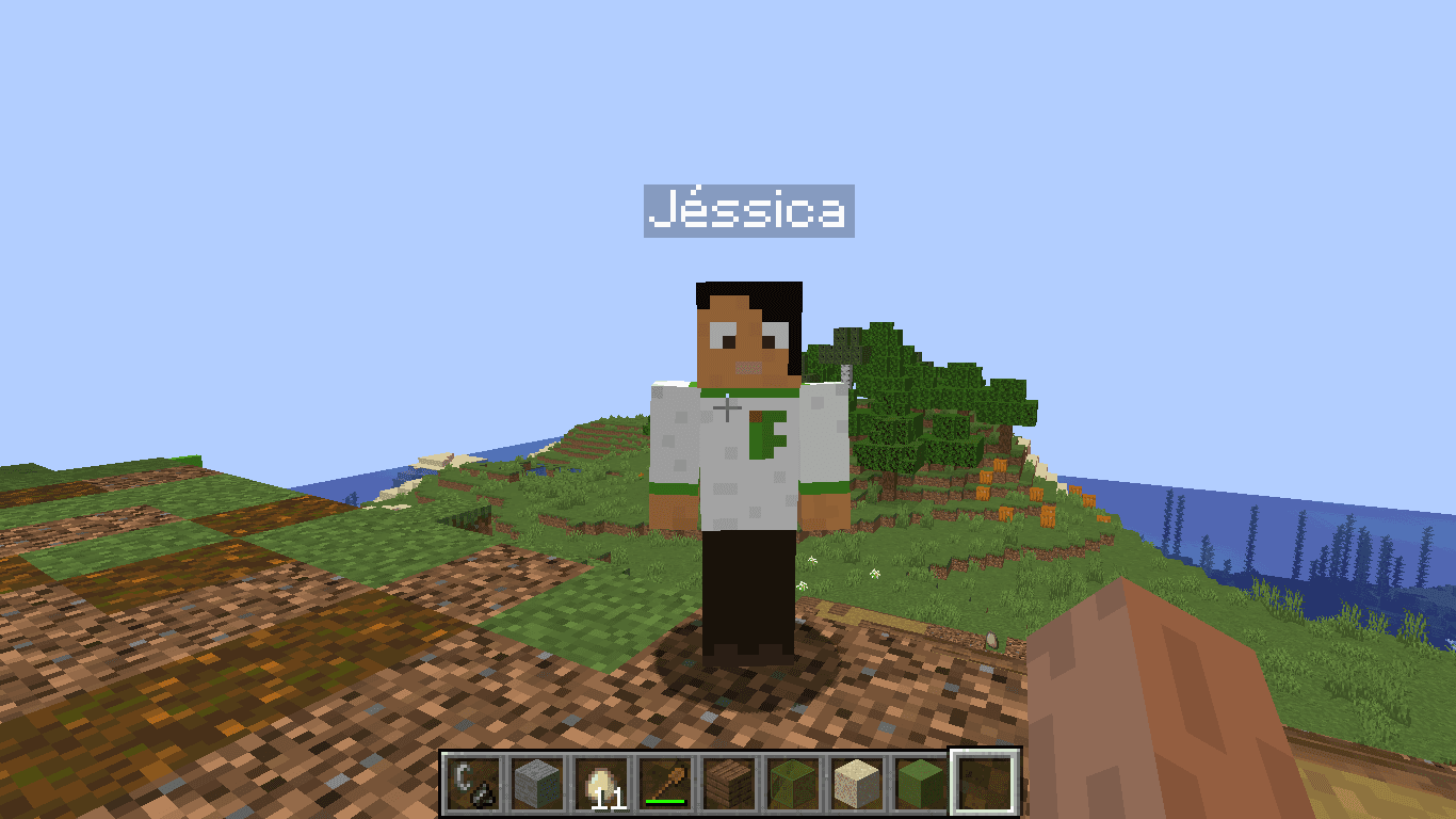 Minecraft Servers in Uruguay | Top Spanish Specific Uruguayan Servers List