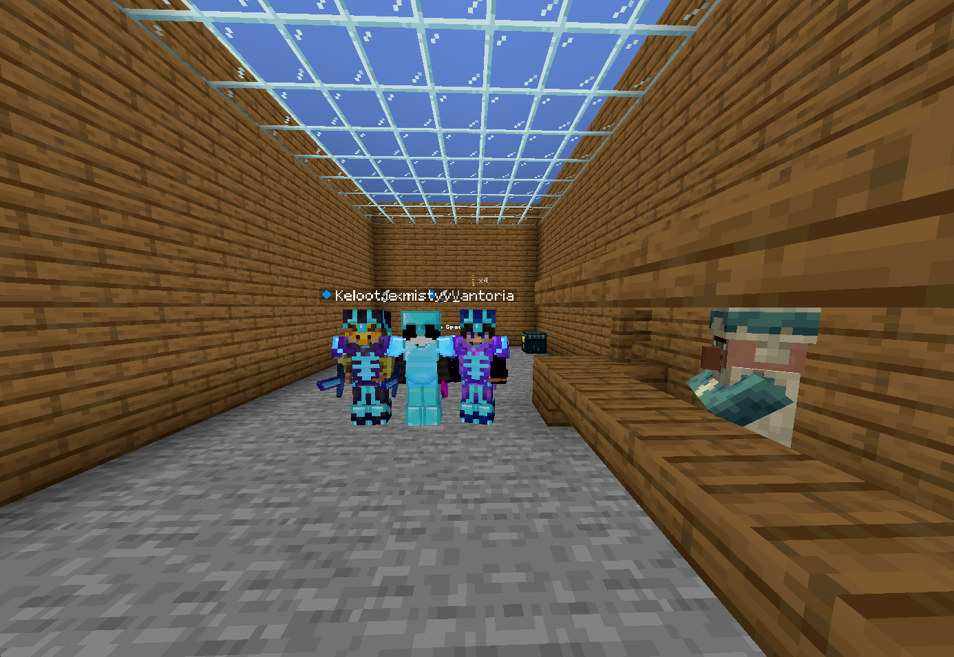 EchoSmp - Minecraft Survival Server IP