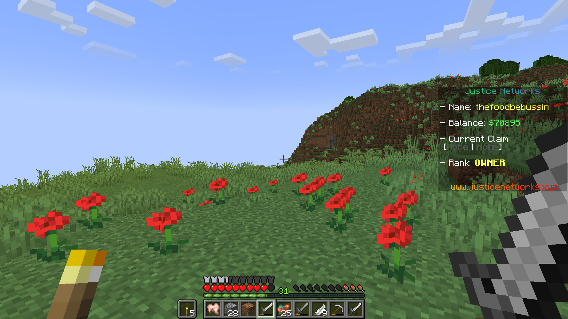 Justice Networks - Minecraft Survival Server IP