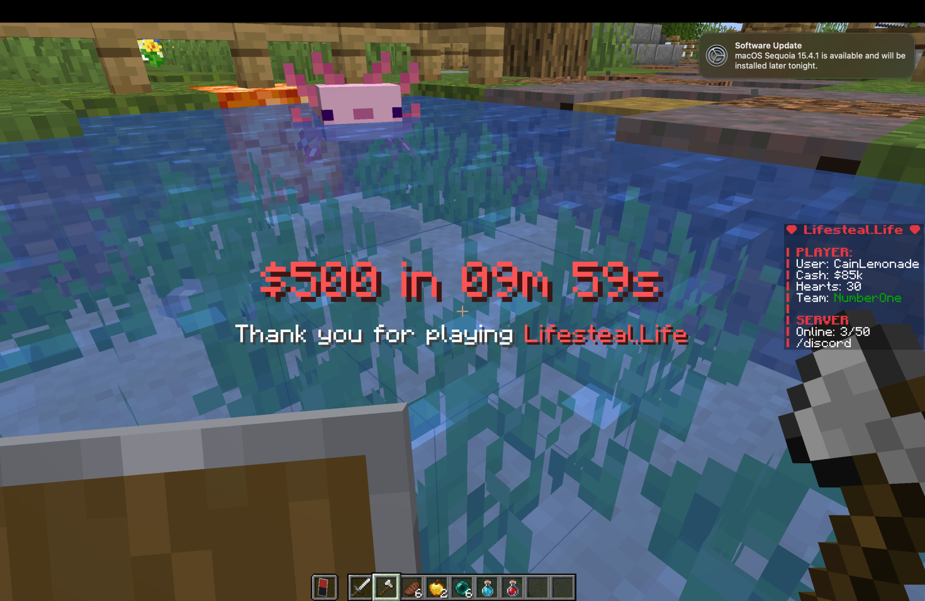 Lifesteal.Life - Minecraft Survival Server IP